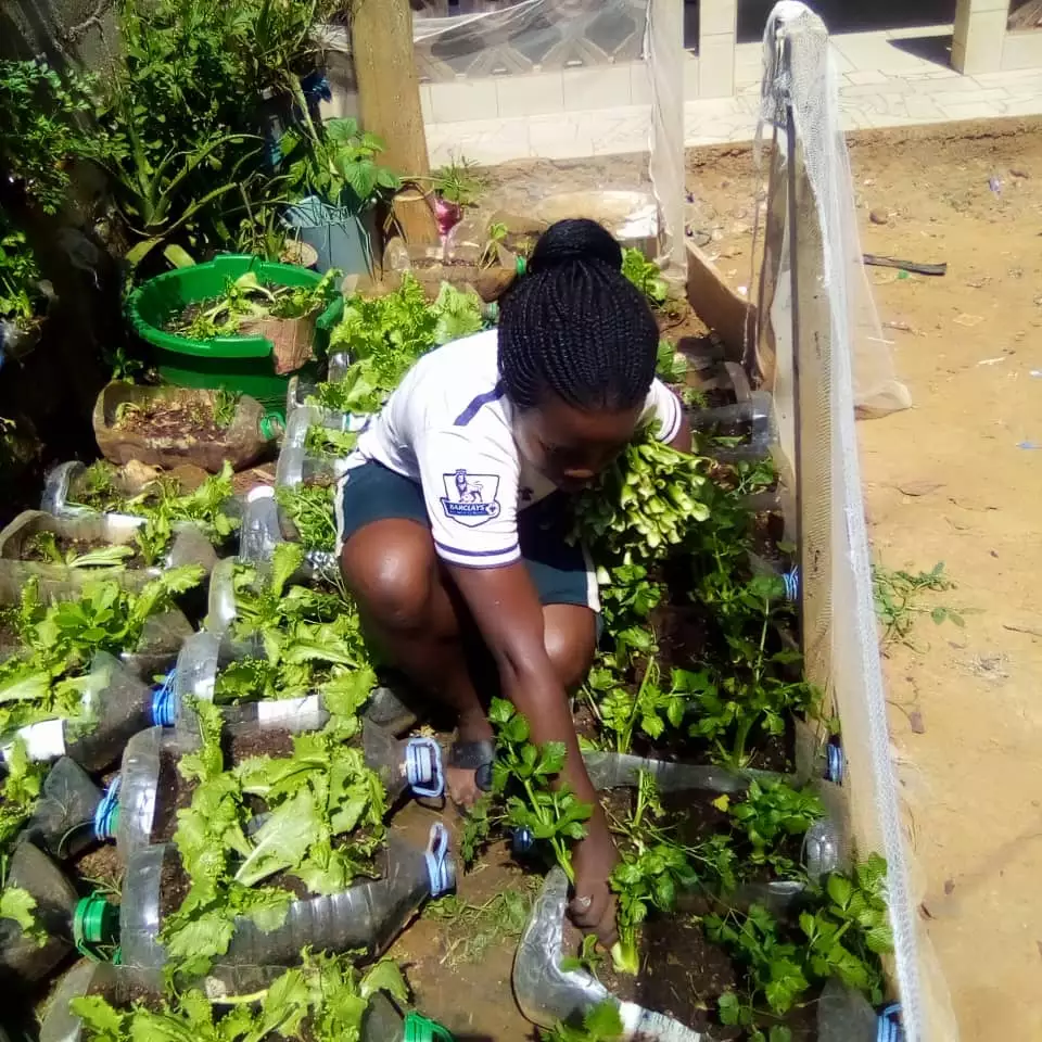L'impressionnant parcours de la Camerounaise Marie Antoinette Dassi ...